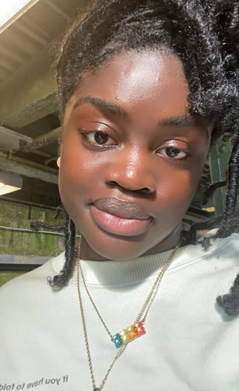 Intergenerational Community Arts Council (ICAC) MEMBERS | BRIC