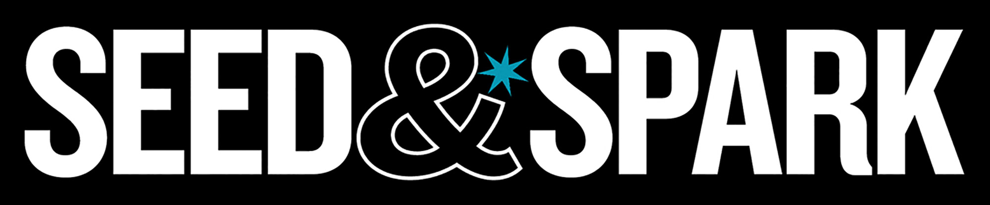 Art of the Pitch Deck: Online Workshop featuring Seed & Spark | BRIC