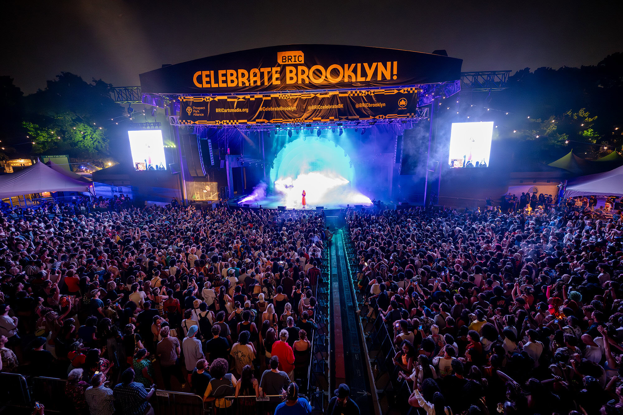 BRIC CELEBRATE BROOKLYN! ANNOUNCES 2025 SEASON: "WHERE BROOKLYN MEETS ...